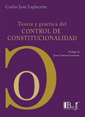 Teoría y práctica del Control de Constitucionalidad - Editorial ...